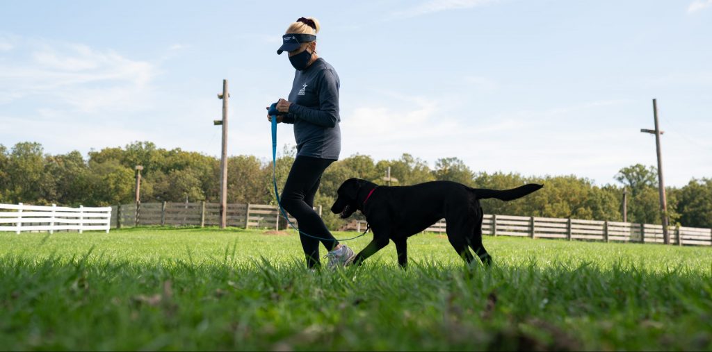 Following Commands: UMSON Studies Military Veterans with PTSD as They ...